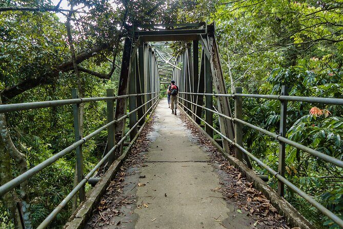 Sinharaja Rainforest Private Half Day Tour with Licensed Guide - Who Will Love This Tour?