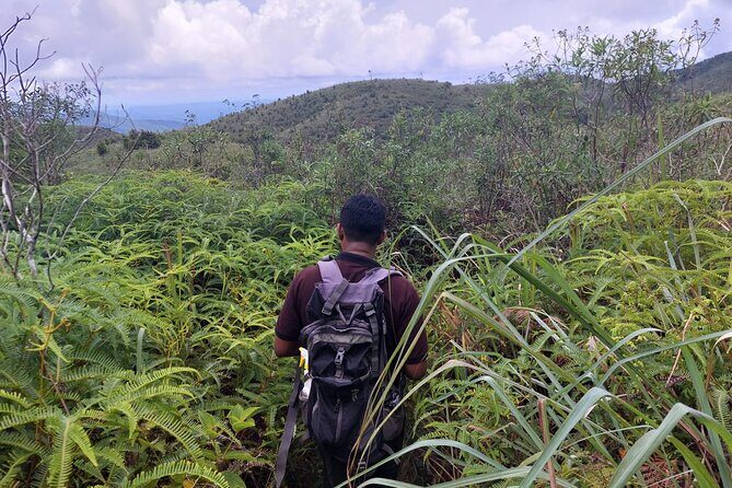 Sinharaja Rainforest Private Tours and Rainforest Entrance Ticket - Frequently Asked Questions