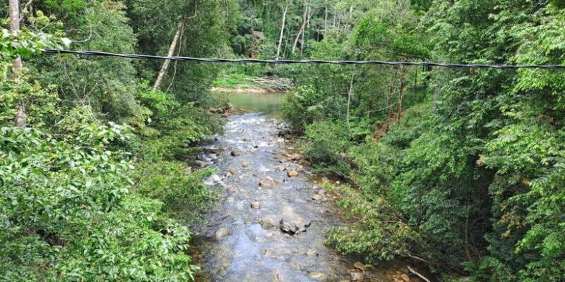 Sinharaja Rainforest Tour - Transportation and Logistics