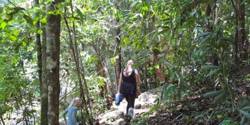 Sinharaja Rainforest Tour - Price and Overall Value