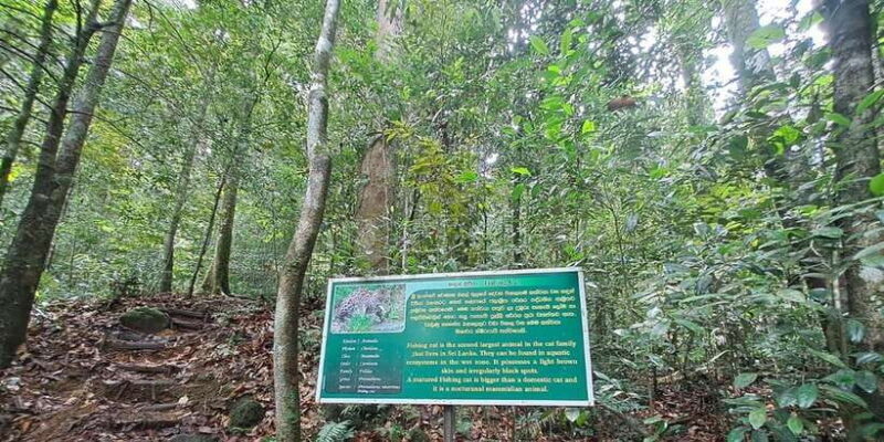 Sinharaja Rainforest Tour - FAQ