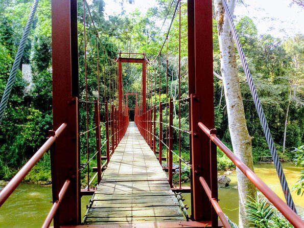 Sinharaja Rainforest Tour - Key Points