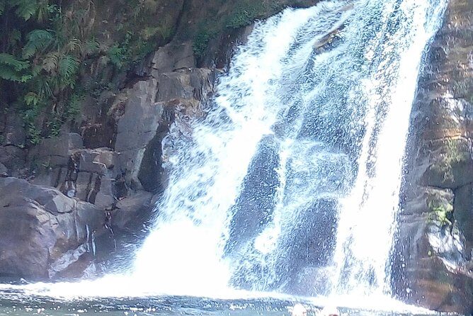 Sinharaja Rainforest Tour - Who Will Love This Tour