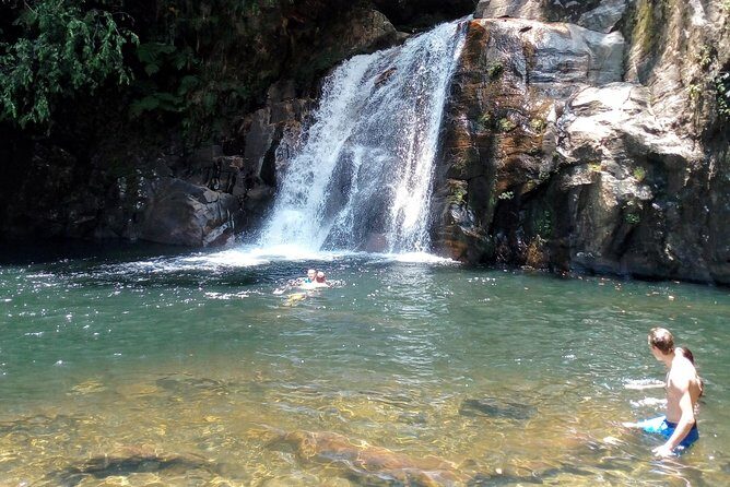 Sinharaja Rainforest Tour - Frequently Asked Questions