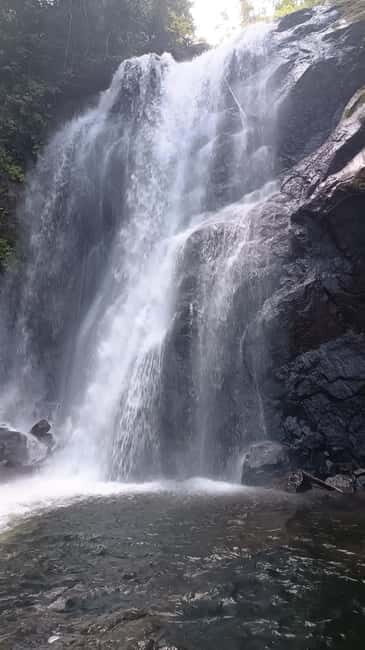 Sinharaja Rainforest: Tour with 5 Waterfalls Trek - An In-Depth Look at the Tour