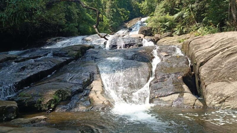 Sinharaja Rainforest: Tour with 5 Waterfalls Trek - Practical Tips for Travelers