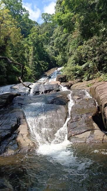 Sinharaja Rainforest: Tour with 5 Waterfalls Trek - Why This Tour Matters