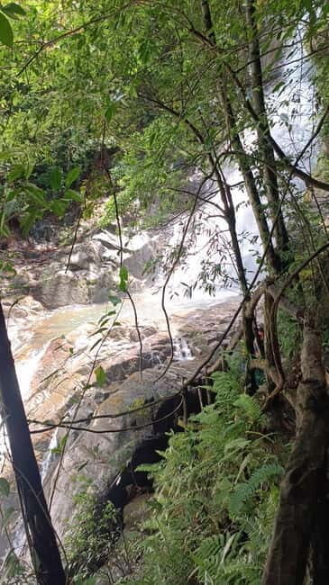 Sinharaja Rainforest: Tour with 5 Waterfalls Trek - Who Should Consider This Tour?