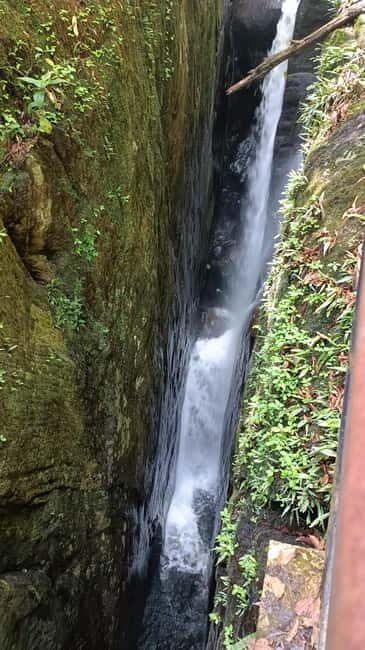 Sinharaja Rainforest: Tour with 5 Waterfalls Trek - Summary