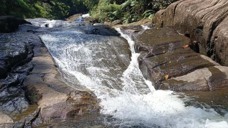 Sinharaja Rainforest: Tour with 5 Waterfalls Trek - FAQ