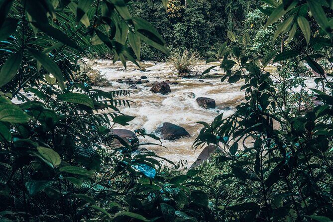 Sinharaja Rainforest Trek with Guide and Lunch - The Sum Up