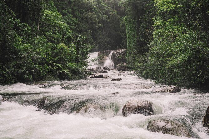 Sinharaja Rainforest Trek with Guide and Lunch - FAQ About the Sinharaja Rainforest Trek