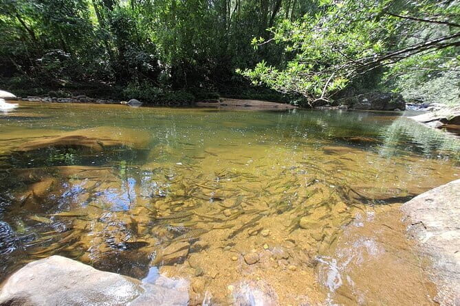 Sinharaja Rainforest Trip - An Introduction to Sri Lanka’s Green Jewel