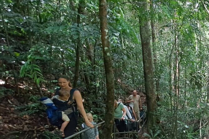 Sinharaja Rainforest Trip - Authentic Encounters and Real Reviews