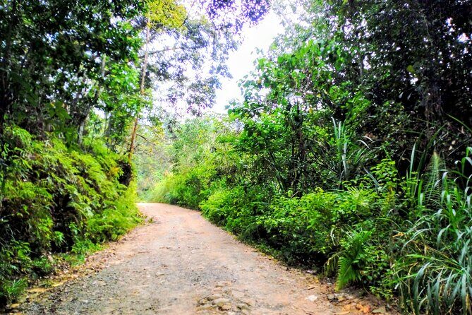 Sinharaja Rainforest & Udawalawe Safari - 2 Days, All Inclusive - Final Thoughts