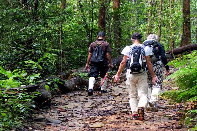 Sinharaja Trekking Day Trip - Private & All Inclusive - In-Depth Look at the Tour