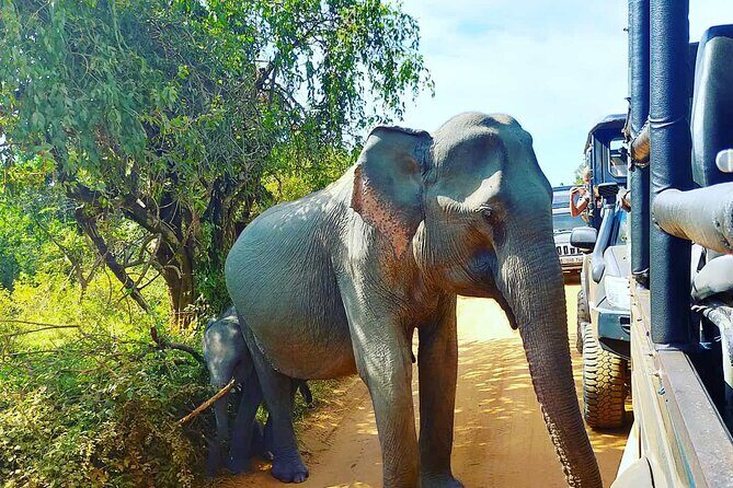 sinharaja udawalawa two days Tour - Key Points