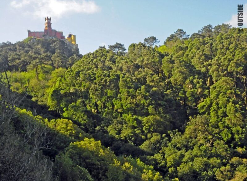 Sintra: 3.5-Hour Rock Climbing Experience - Suitability and Considerations