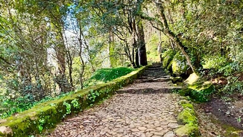 Sintra: Adventure hike around Sintra's most popular castles - Key Points