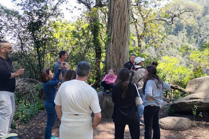 Sintra ALL PALACES - small groups (2-6pax) PRIVATE TOUR - Logistics & Practicalities