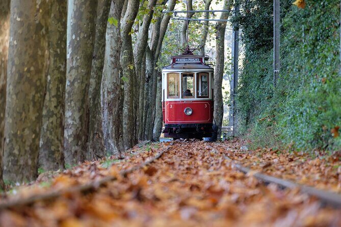 Sintra and Cascais Small Group Full-Day Tour from Lisbon - A Deep Dive into the Experience