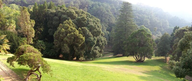 Sintra+ Cascais Gardens Full Day: Private Tour - Key Points