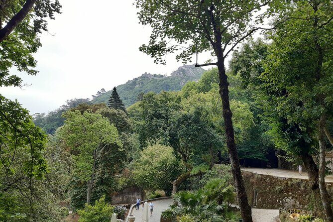 Sintra/Cascais Private Tour - Why Choose the Sintra/Cascais Private Tour?