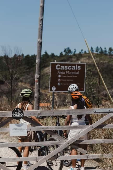 Sintra: E-bike tours of the incredible landscapes - An in-depth look at the experience