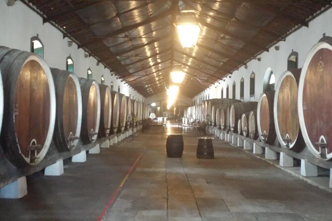Sintra Full Day Private Wine Experience with Tastings from Lisbon - The Value and Why It Works
