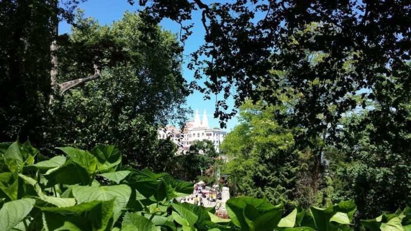 Sintra: Full-Day Tour from Lisbon with Wine Tasting - A Day Well Spent or Overloaded? The Practical Perspective