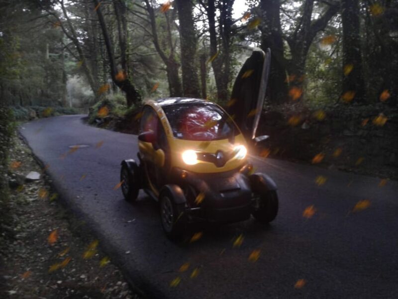 Sintra: Heritage, Gardens & Nature Tour E-Car GPS AudioGuide - An In-Depth Look at the Sintra E-Car Tour