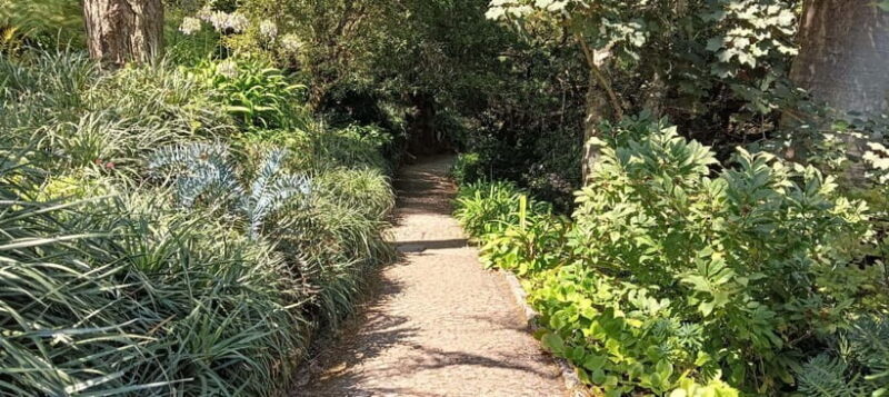 Sintra: Hidden Secrets Mountain Walk with Local Guide - An Honest Look at the Sintra Mountain Walk