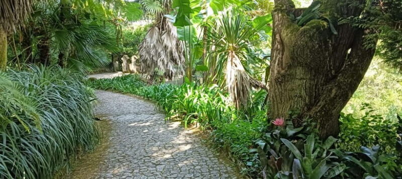 Sintra: Hidden Secrets Mountain Walk with Local Guide - The Real Value of This Tour