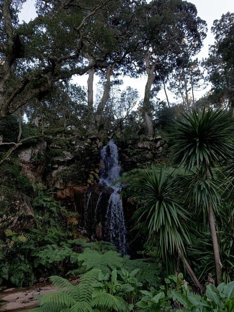 Sintra Highlights: Private Local Tour - Palaces & Views - Ending the Day