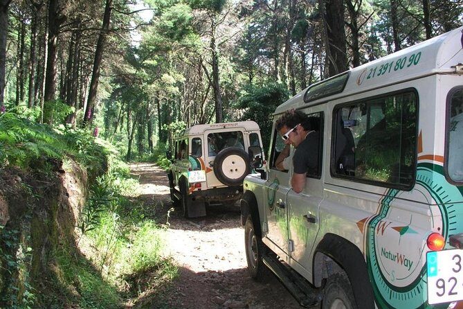 Sintra Jeep Full Day - Final Thoughts: Is This Tour for You?