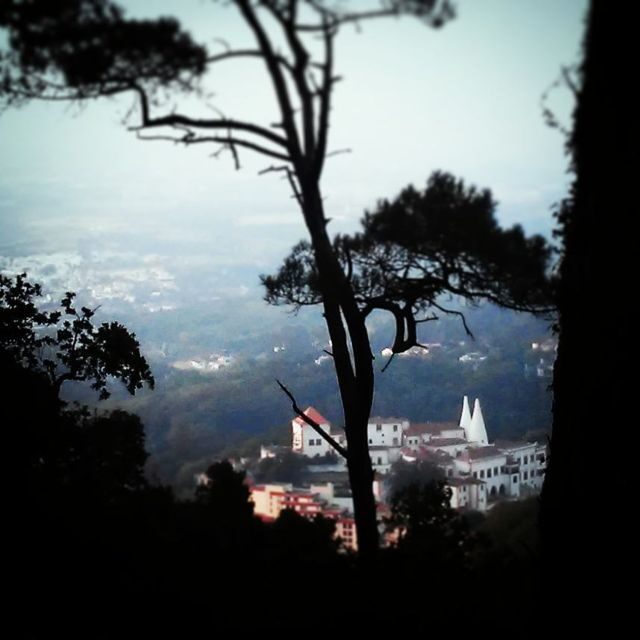 Sintra: Legends and Medieval Stories Private Walking Tour - Sintra: Legends and Medieval Stories Private Walking Tour — A Deep Dive into History and Legends