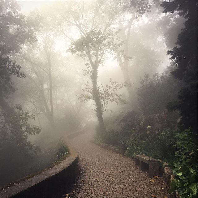 Sintra: Legends and Medieval Stories Private Walking Tour - Why This Tour Offers Great Value