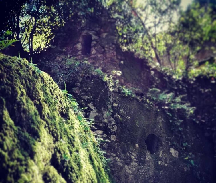 Sintra: Legends and Medieval Stories Private Walking Tour - Who Will Love This Tour?