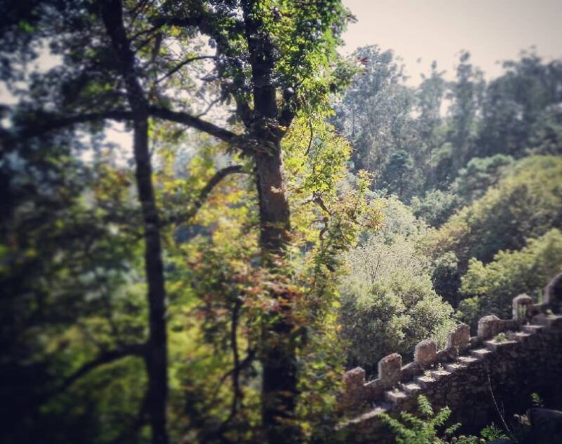 Sintra: Legends and Medieval Stories Private Walking Tour - The Sum Up: Why Choose This Tour?
