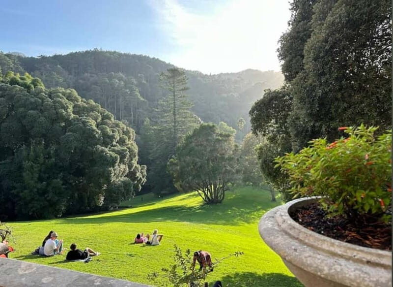 Sintra Monserrate Palace and Park Entrance E-Ticket - Logistics and Practical Tips
