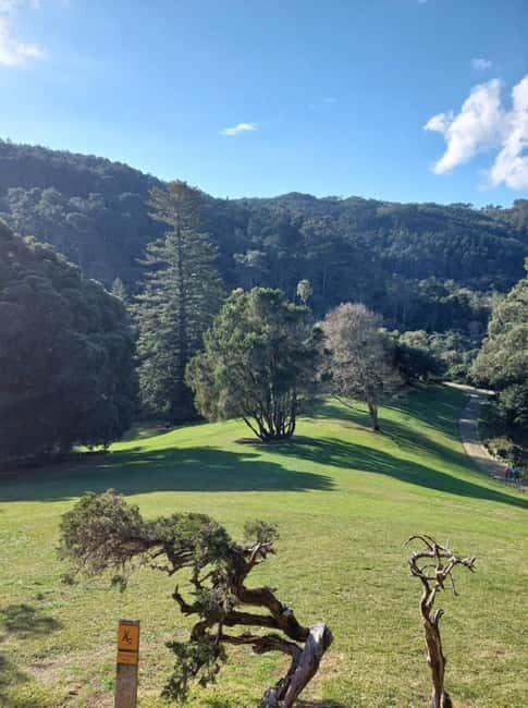 Sintra Monserrate Palace and Park Entrance E-Ticket - Who Should Consider This Tour?