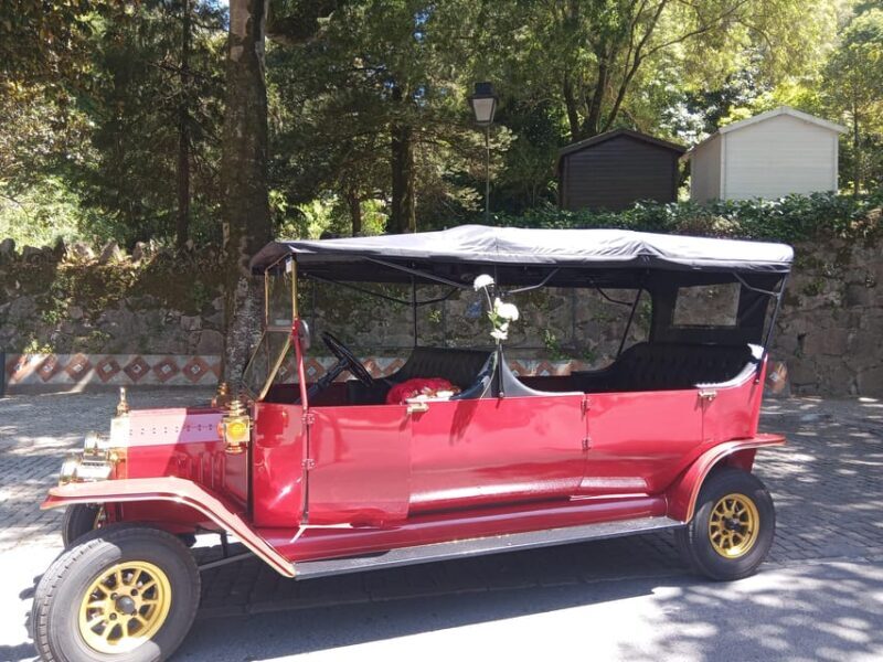 Sintra: Mountain tour by vintage TukTuk - Exploring Sintra with a Vintage Electric TukTuk