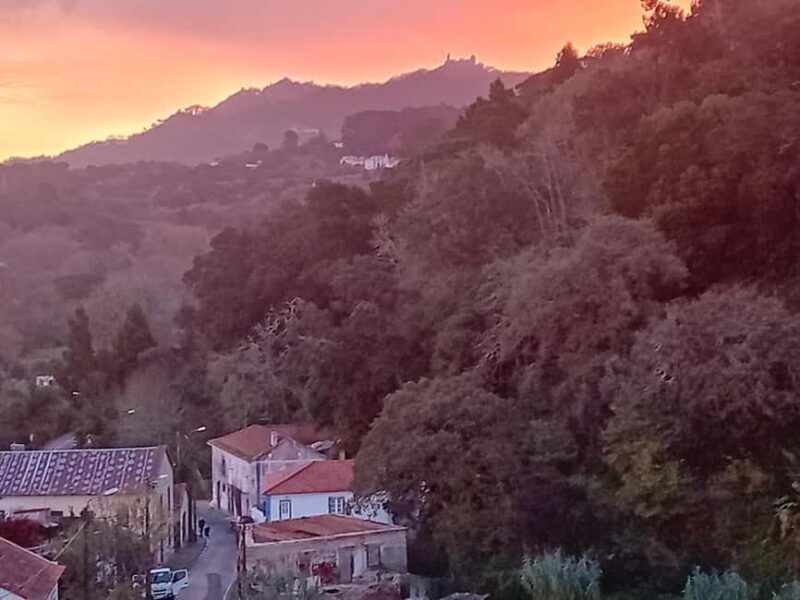 Sintra Mystic Forest Journey: Guided Tour in a Convertible. - A Breakdown of the Itinerary: What Makes Each Stop Special