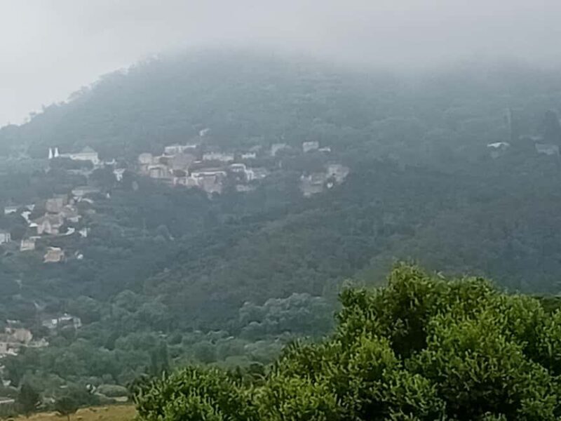 Sintra Mystic Forest Journey: Guided Tour in a Convertible. - The Verbal Highlights from Past Travelers