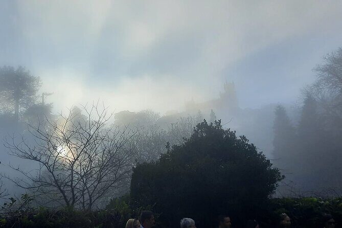 Sintra Palaces and Forest Private Tour - Quinta da Regaleira: Mystical and Mysterious