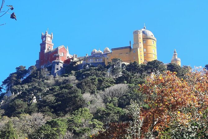 Sintra Palaces and Forest Private Tour - Monserrate Palace and Gardens: Exotic and Unique