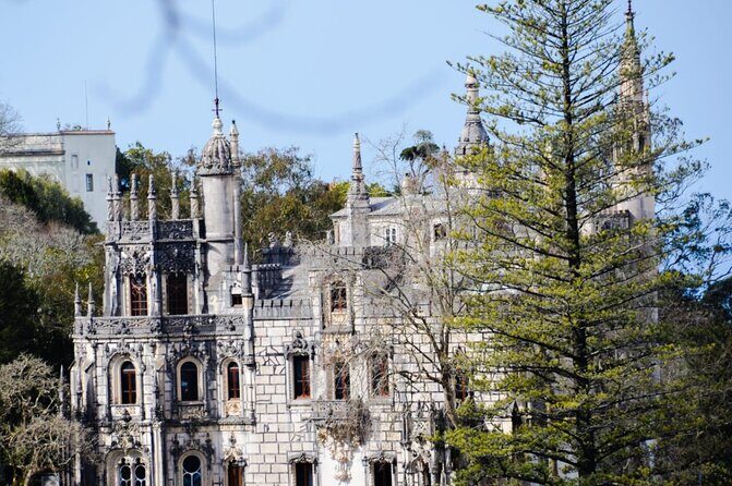 Sintra Palaces and Forest Private Tour - Flexibility for Extra Exploration