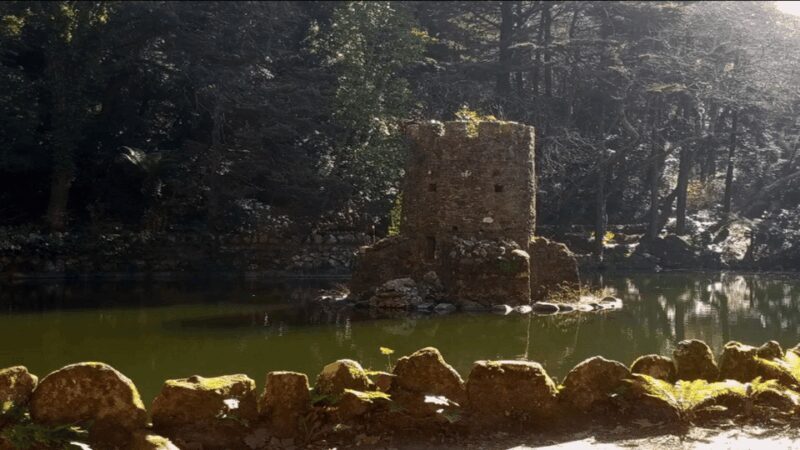 Sintra: Private Palaces, Moorish Castle, and Roca Cape Tour - Key Points