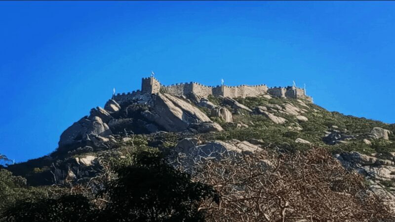 Sintra: Private Palaces, Moorish Castle, and Roca Cape Tour - Starting Point: Portela de Sintra Train Station