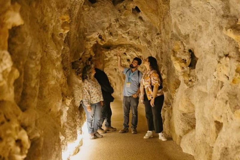 Sintra: Quinta da Regaleira Guided Tour with Entry Ticket - Why This Tour Delivers Great Value